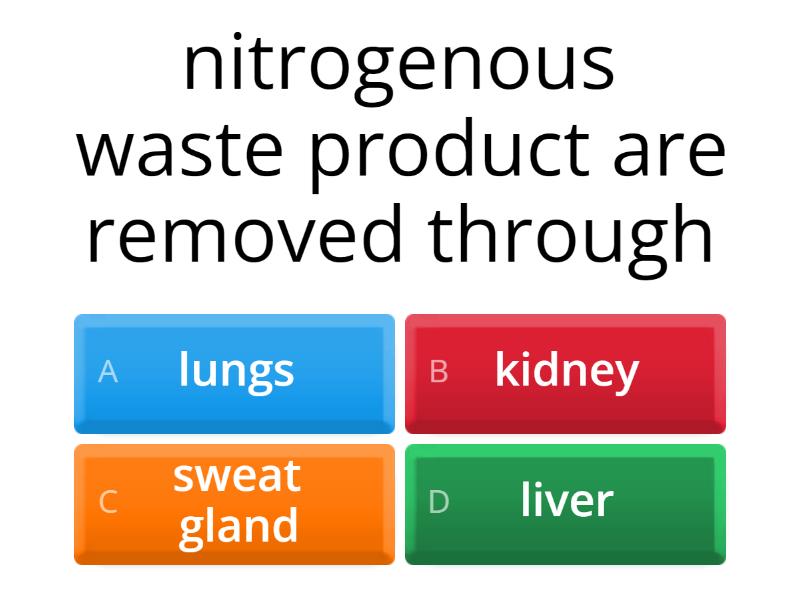 Excretory system - Quiz