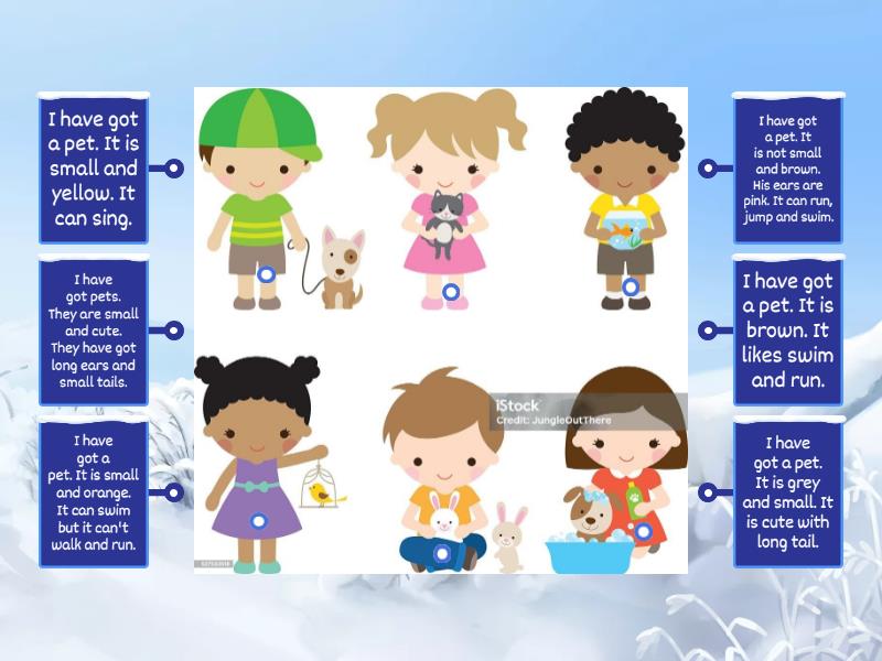 Pets - Labelled diagram