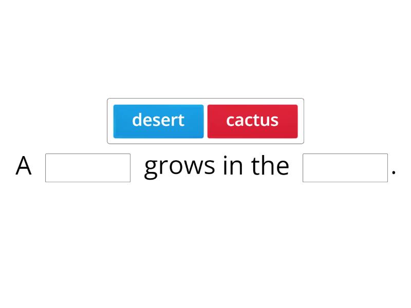 All about a Cactus - Complete the sentence