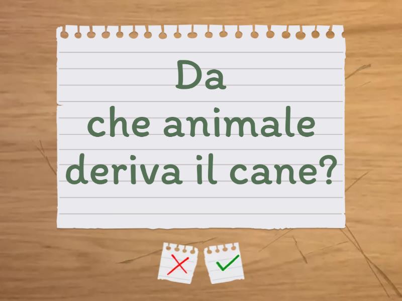Il cane - Flash cards