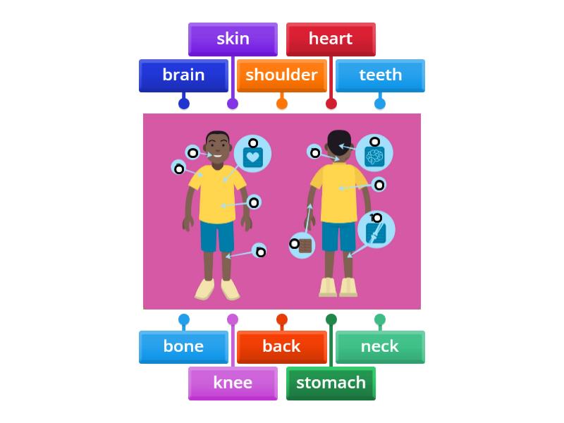 Healthy body, healthy mind A2 - Labelled diagram