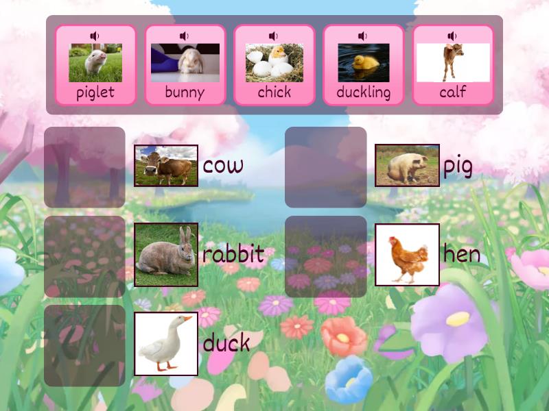 Matching- Baby Animals - Match up