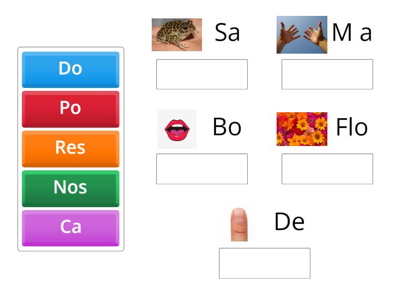 Formemos palabras uniendo las sílabas que la forman - Group sort