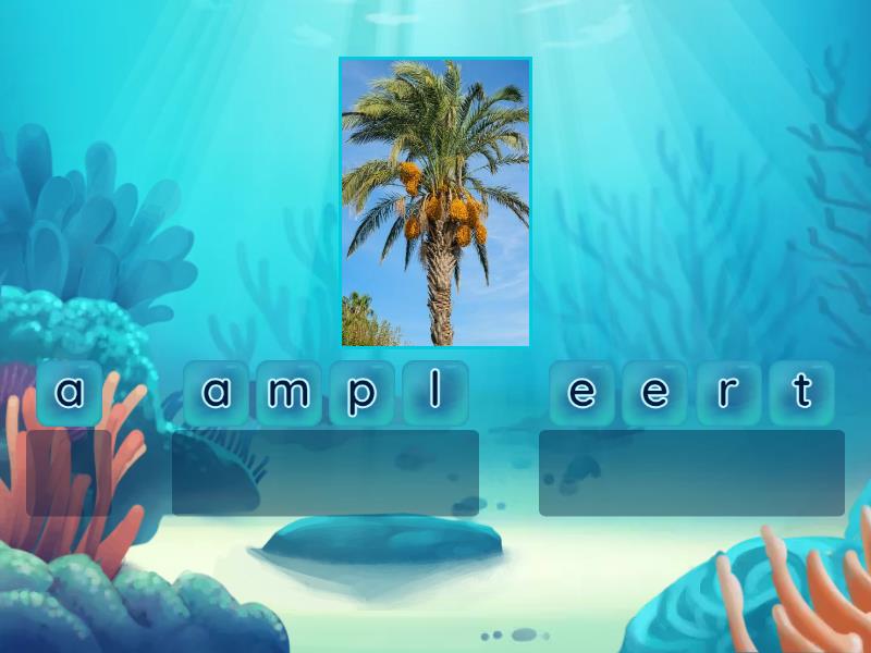 Book10U1_Island Adventures_vocab about beach visit - Anagram