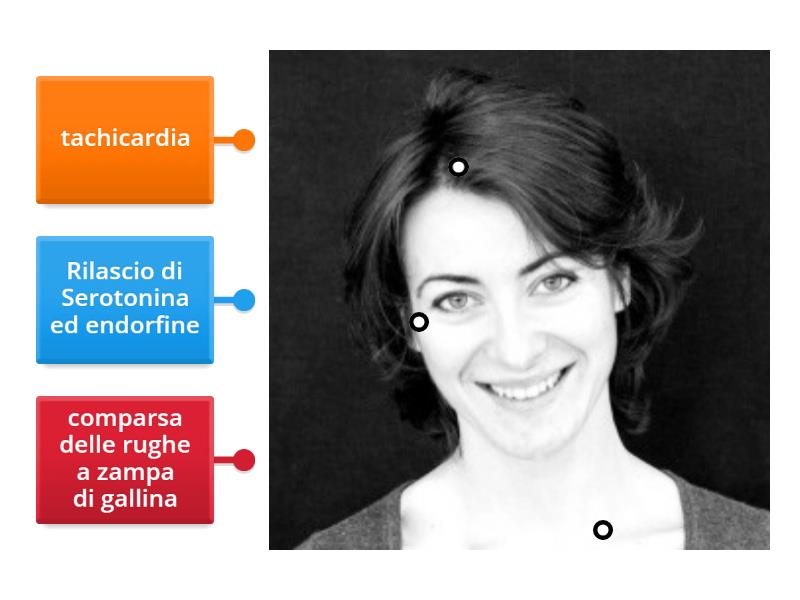 Gioia - Labelled diagram