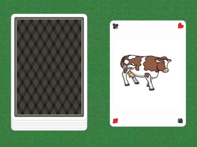 Let's explore 1 unit 3a - Speaking cards