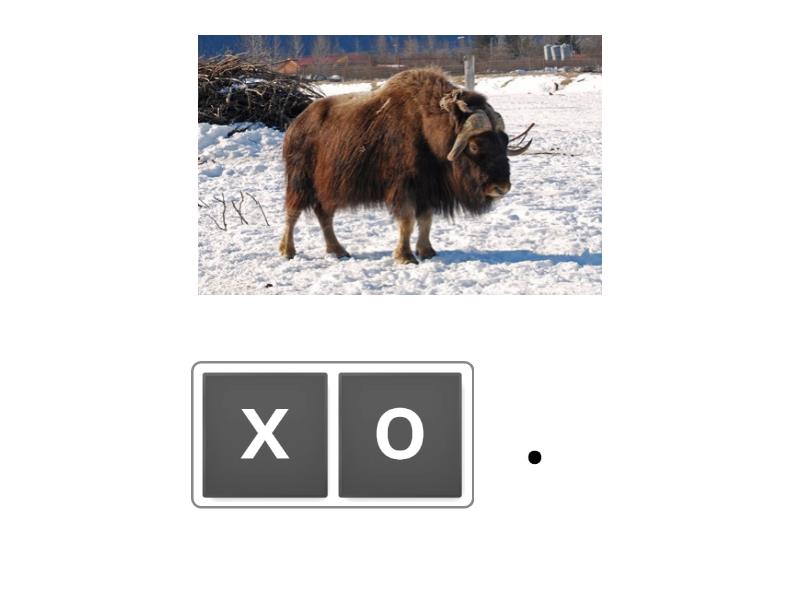 ox - Anagram