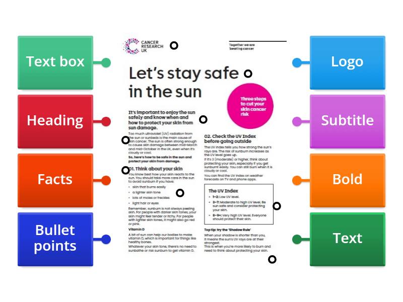Organisational Features 2 - Labelled diagram