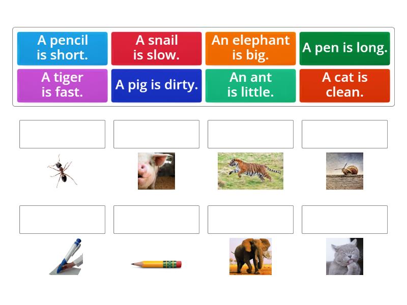 2 adjectives order (Adjectives Song for Kids) - Match up