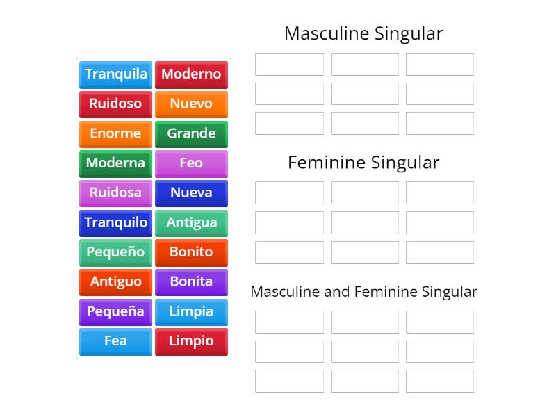 Masculine and Feminine Adjectives - Group sort