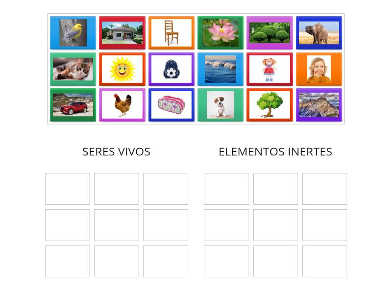 SERES VIVOS Y ELEMENTOS INERTES - Group sort
