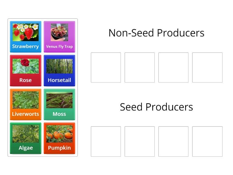 Seed and Non-Seed Producers Sort - Group sort