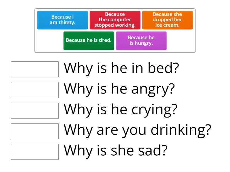 why/ because - Match up