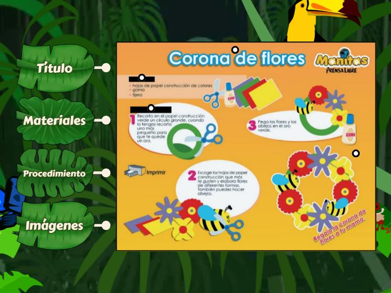 Partes de un instructivo - Labelled diagram
