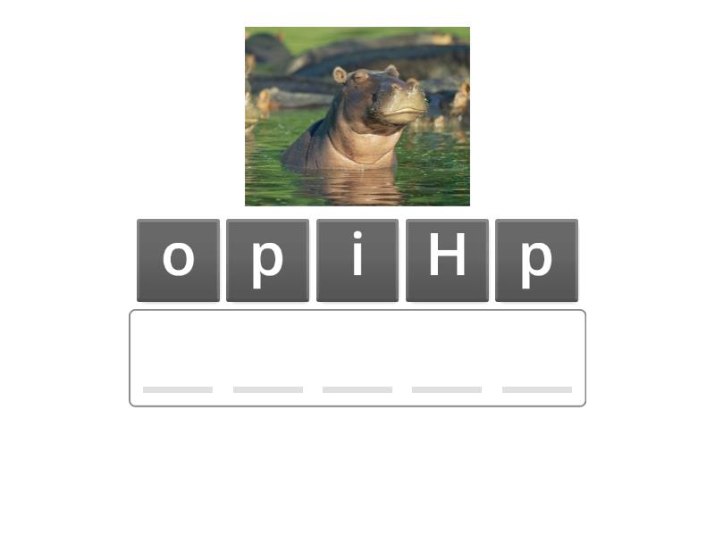 FF Starter Unit 6(1) - Anagram