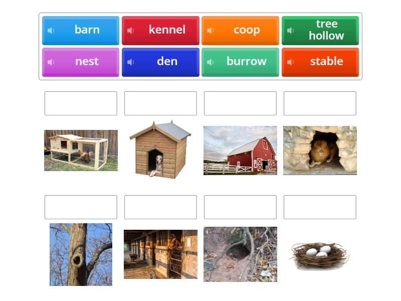 iw3 unit 5 Animal homes - Match up