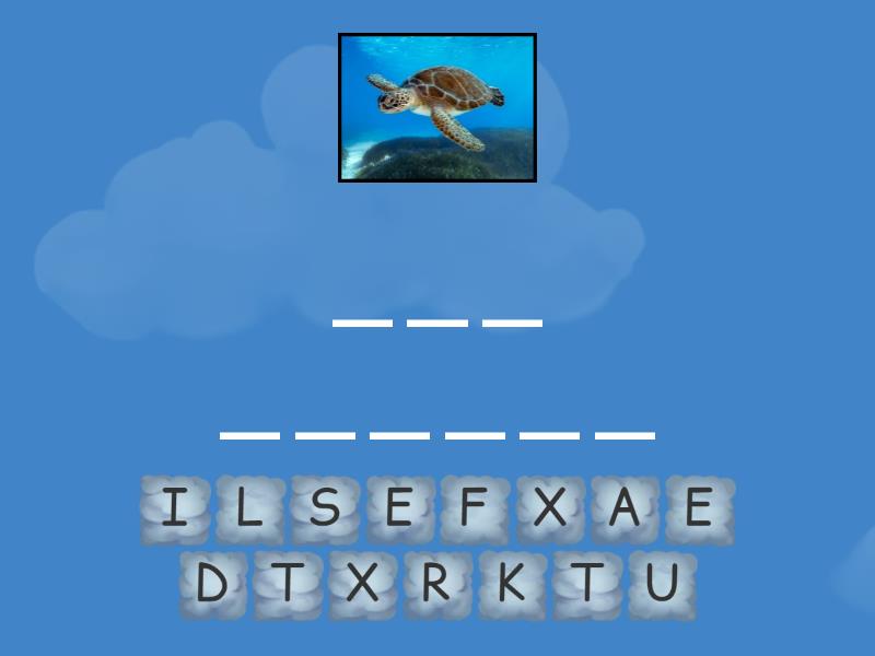 Ocean Animals Spelling - Spell the word