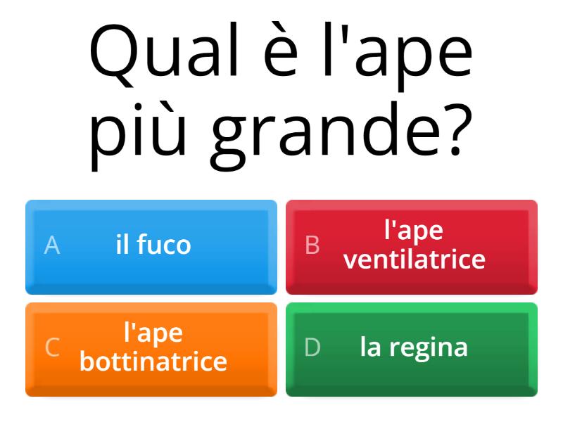 Le api - Quiz
