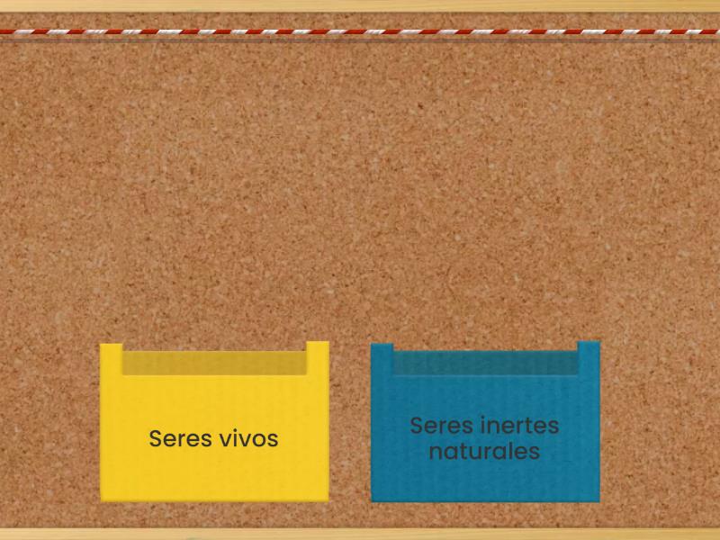 Seres vivos e inertes naturales - Speed sorting