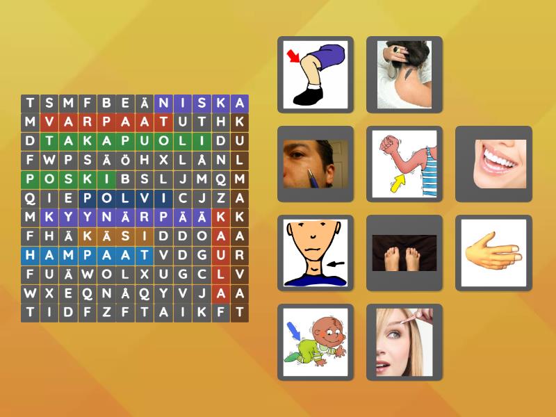 Etsi ruumiinosat - Wordsearch