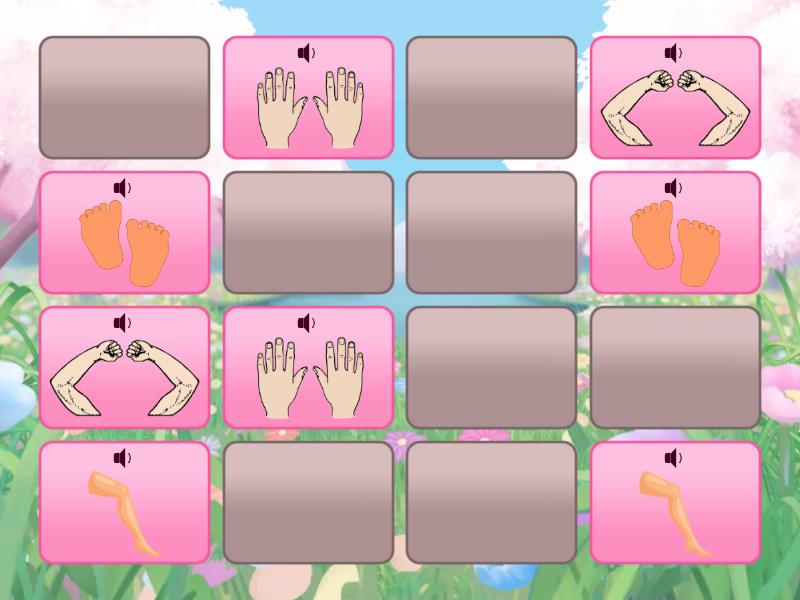 Body Parts - Matching pairs