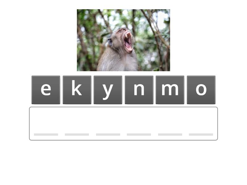 2nd Grade Zoo Animals - Anagrama