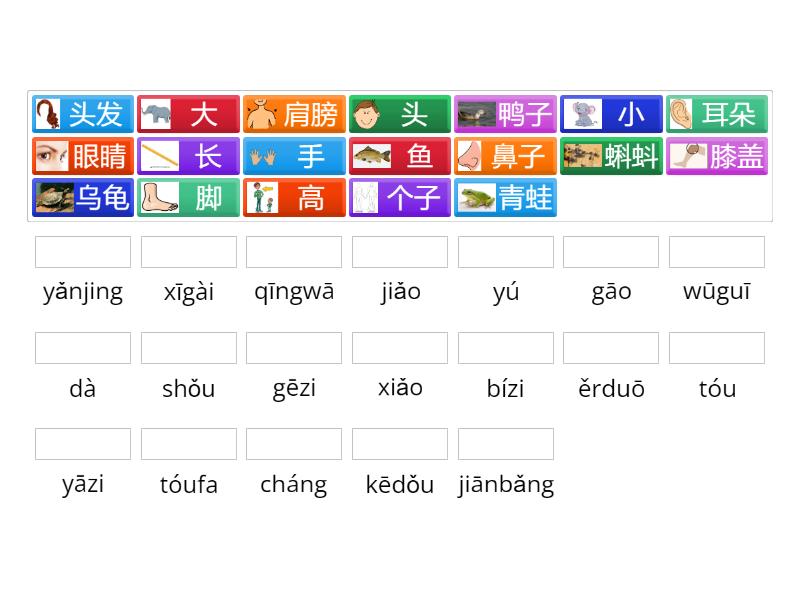 yct 1 lesson 6 - Match up