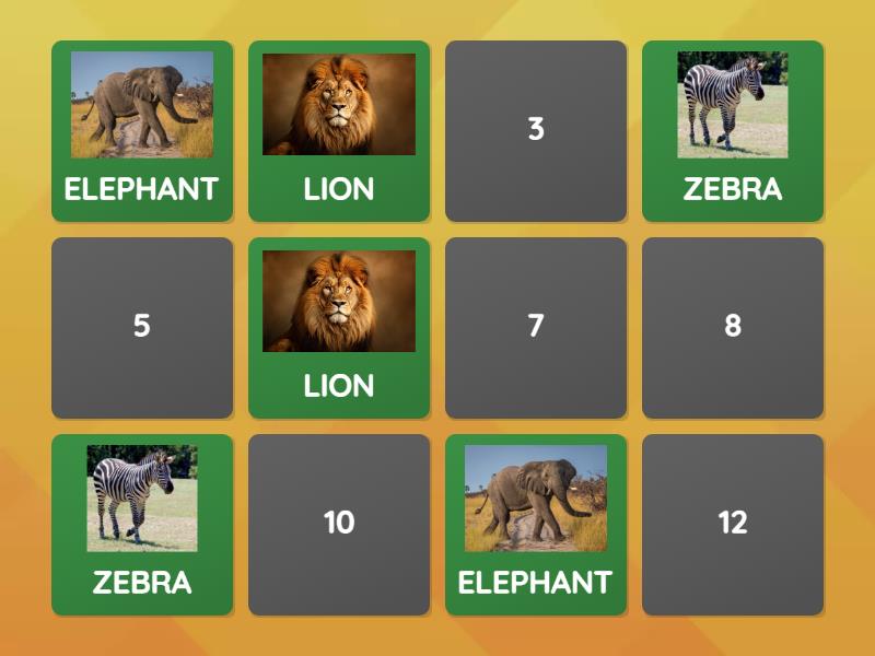 AFRICAN ANIMALS - Matching pairs