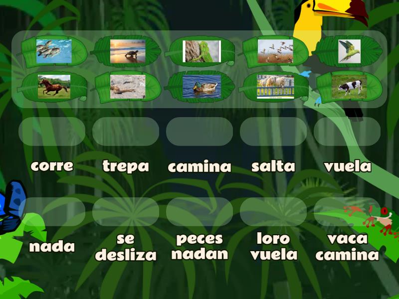 U4 Nivel C: Como se mueven los animales - Match up