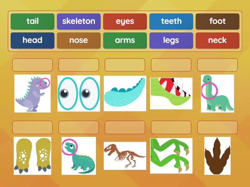 DINOSAURS - BODY PARTS - Match up