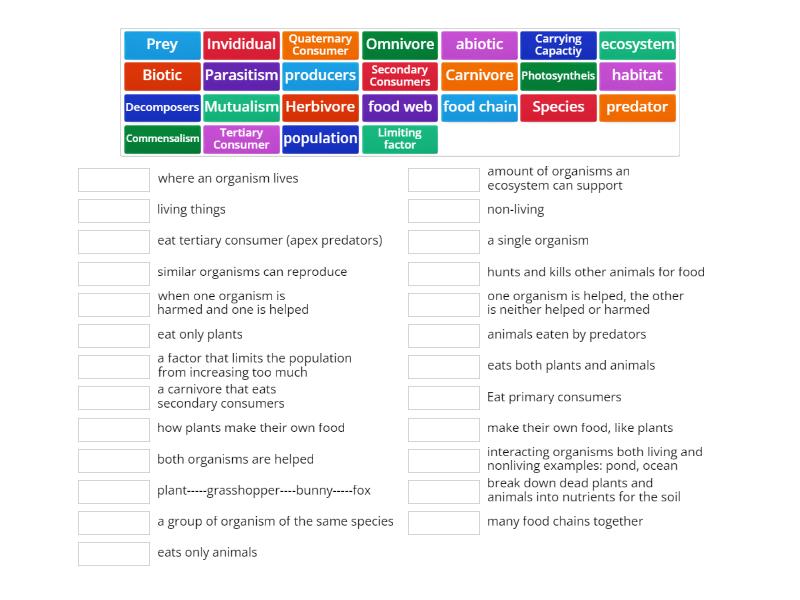Ecosystem Vocabulary - Match up