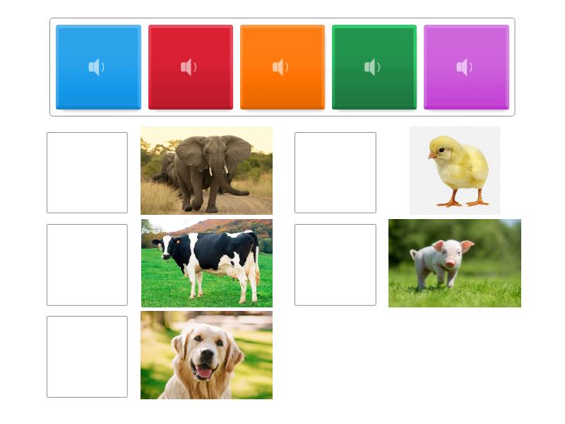 LOS ANIMALES - Match up