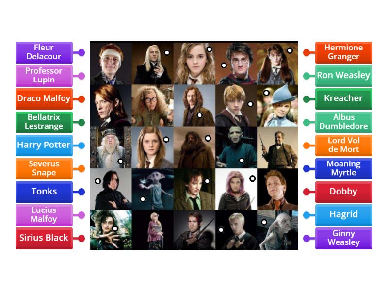 Harry Potter's characters - Labelled diagram