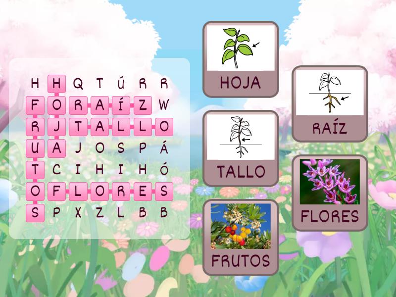 SOPA DE LETRAS PARTES DE LA PLANTA - Wordsearch