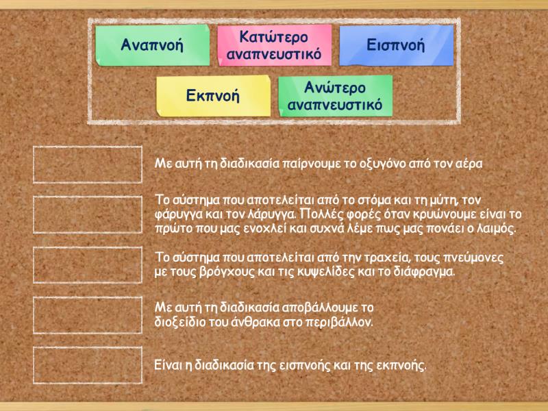 Αναπνευστικό σύστημα-Φυσικά Στ' τάξη - Αντιστοίχιση