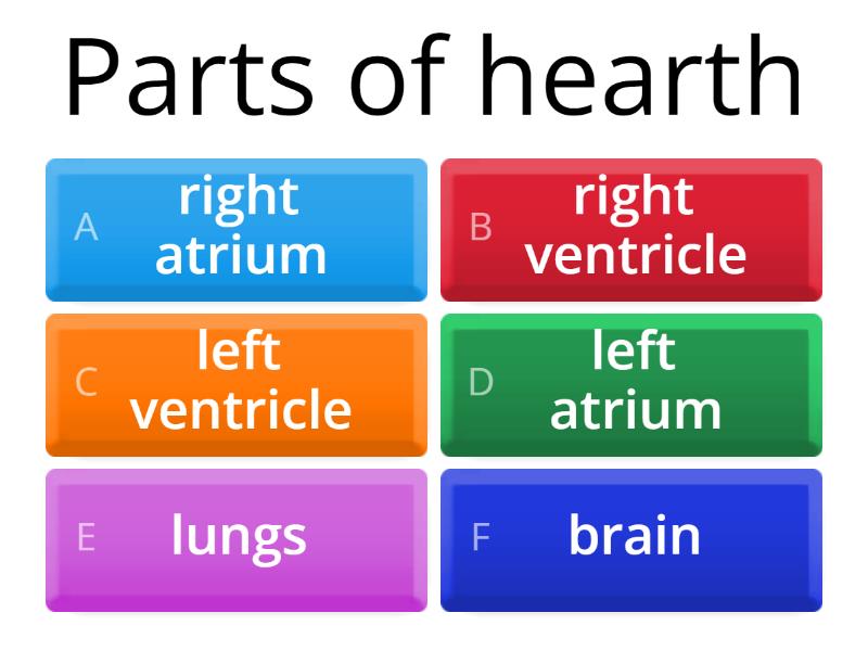 Parts of Heart - Quiz