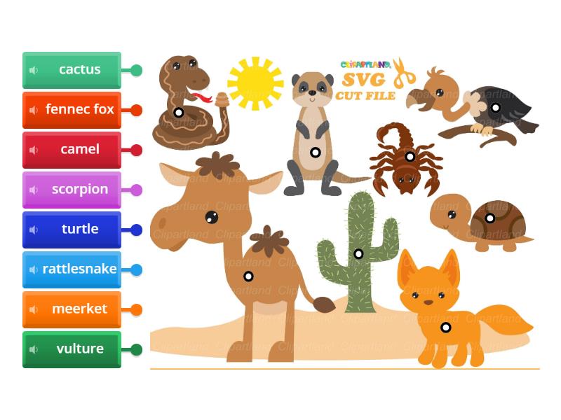 Desert animals - Labelled diagram