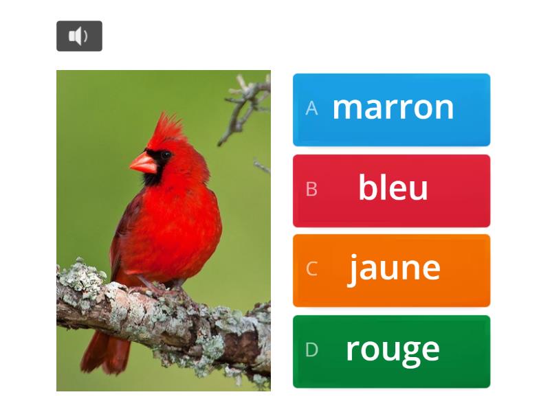 Les couleurs - Quiz