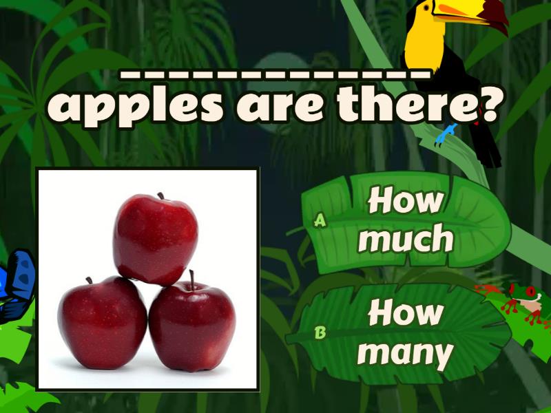 How much / How many - Quiz