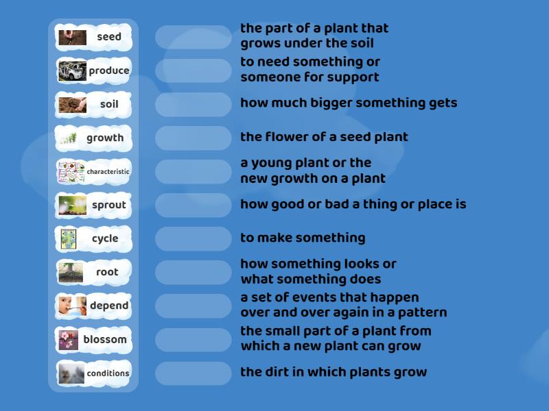 Unit 3 Vocabulary Words - Match up