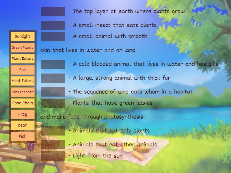 RAZF The Food Chain Match Up & FITB - Complete the sentence