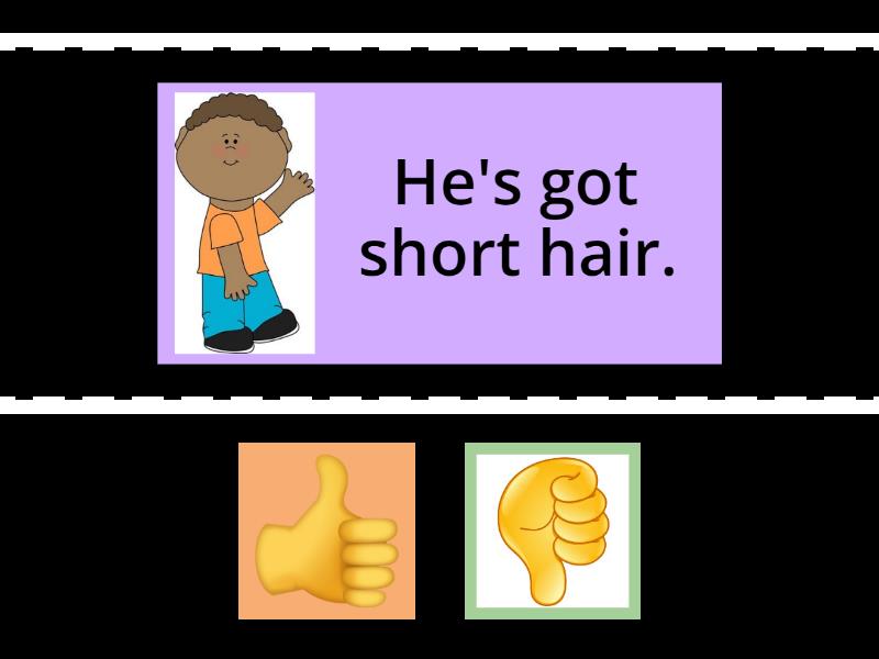 unit 6 lesson 2 grade 2 - True or false