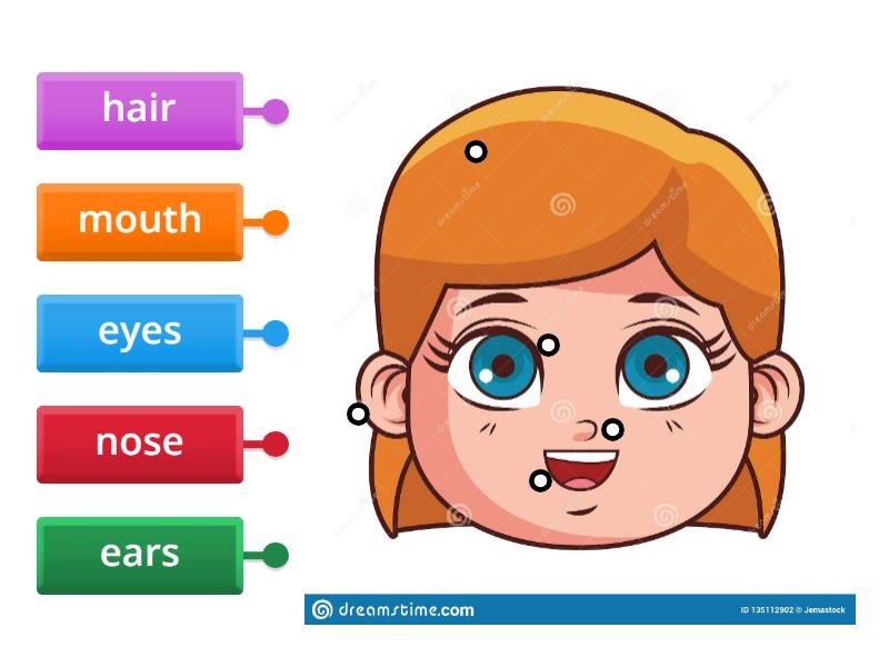 face parts - Labelled diagram