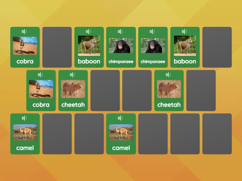 Go4 Unit 4 Wild world memory game vocabulary - Matching pairs