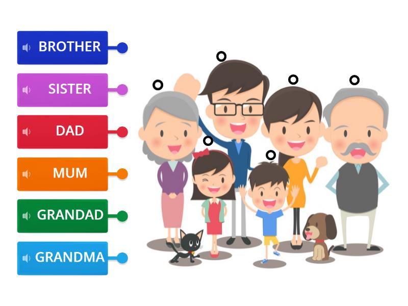 A1_ Family_ label the diagram - Labelled diagram