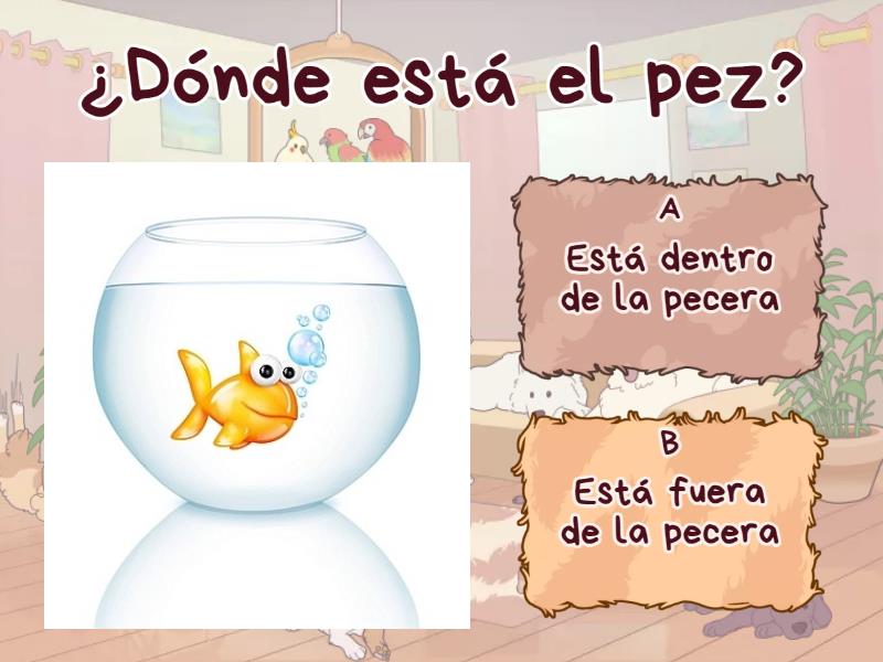 ¿Dónde está? - Quiz