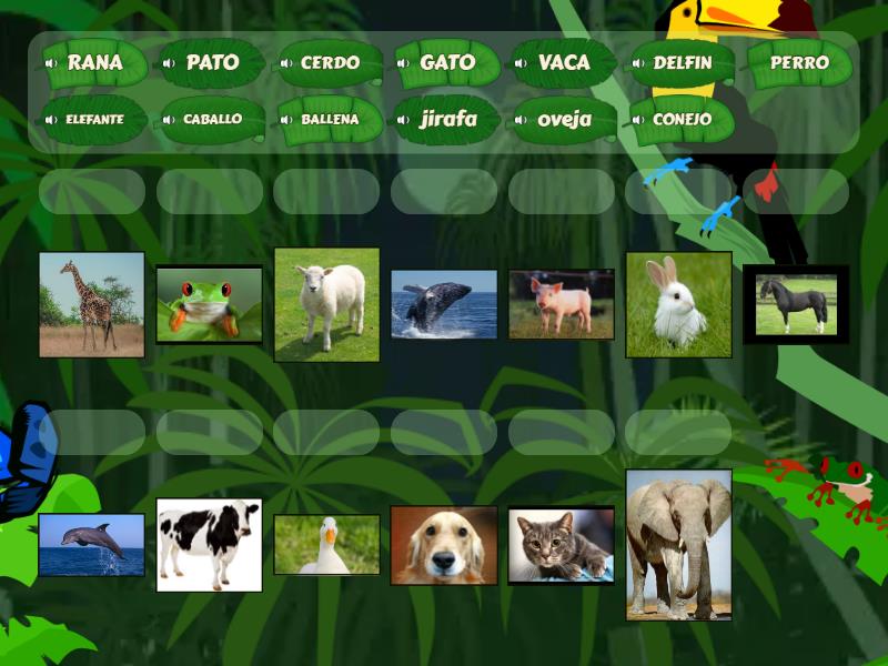 animales con pronunciacion - Match up