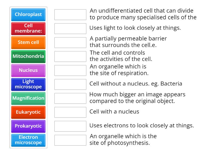 Biology - Key words and meanings - Match up