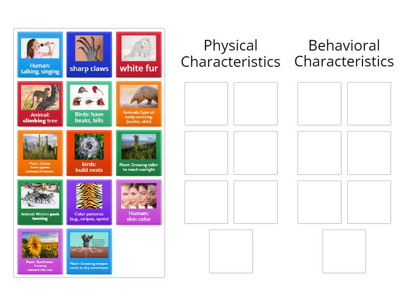 Physical and Behavioral Characteristics B - Group sort