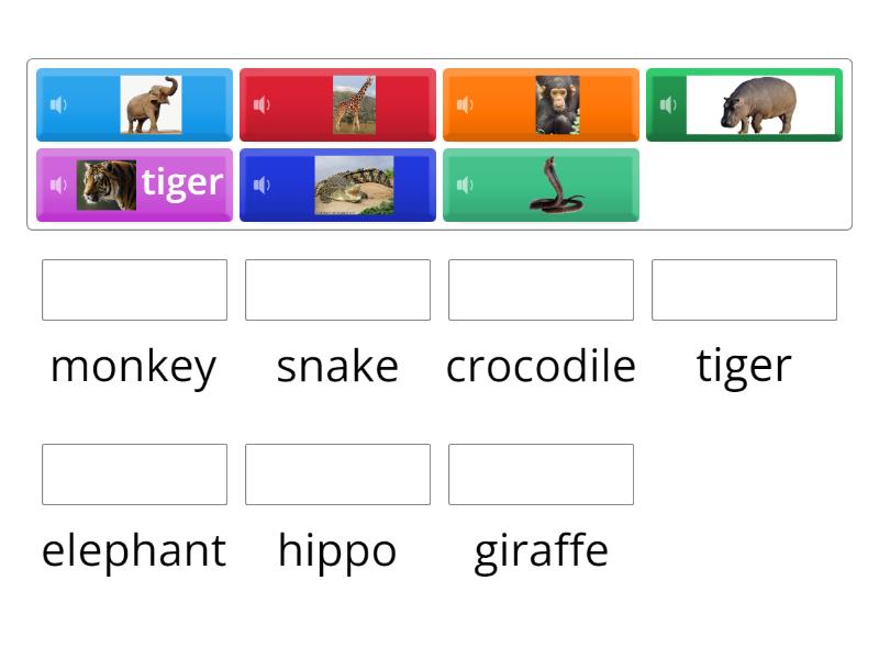 KB 1 Unit 7 Wild animals words - Match up
